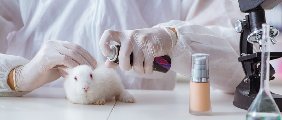 Experiments with Animals: The long road to preventing animal testing in ...