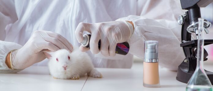 Experiments with Animals: The long road to preventing animal testing in ...